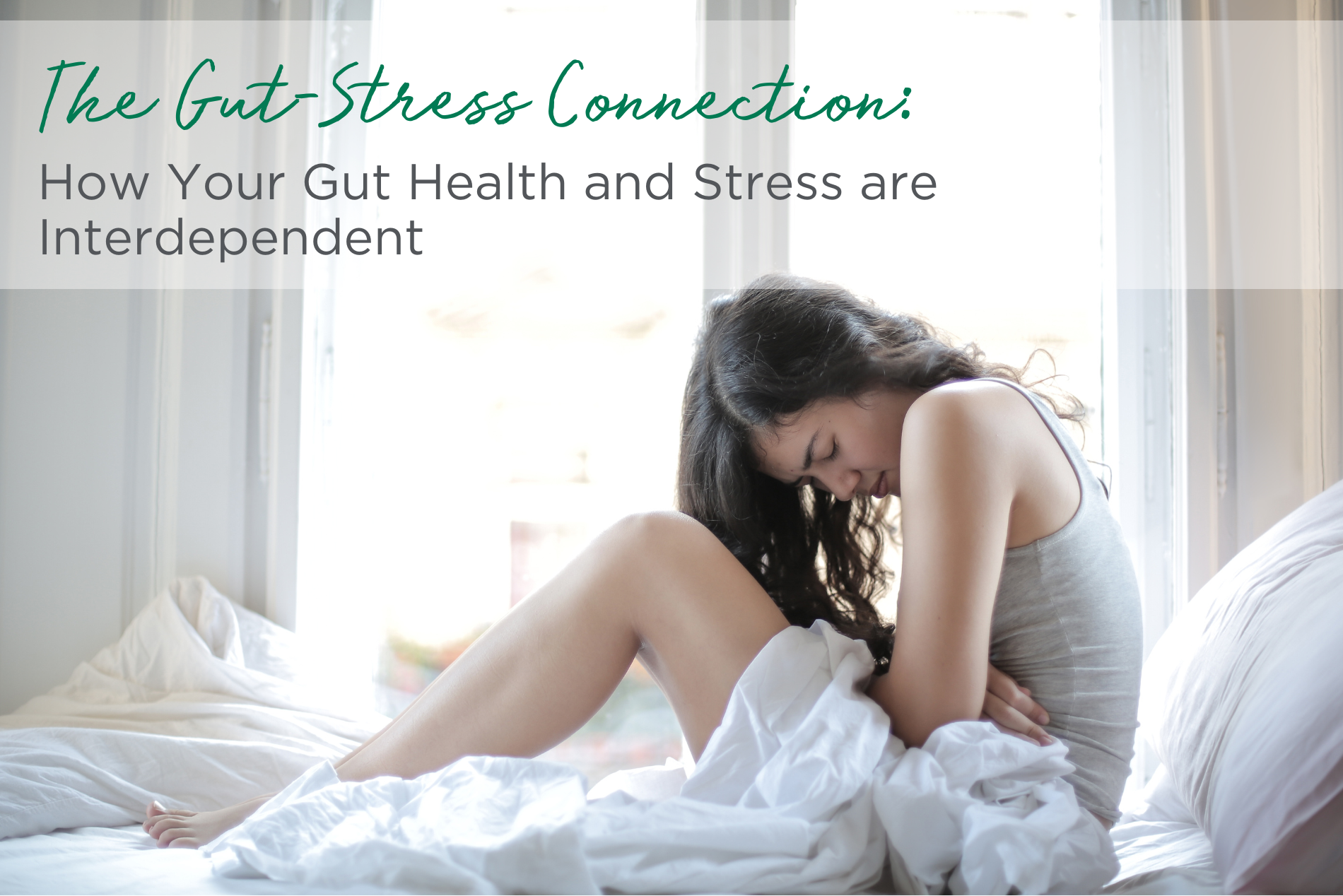 The Gut-Stress Connection: How Your Gut Health and Stress are Interdependent | PERQUE