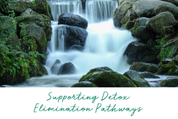 Supporting Detox Elimination Pathways | PERQUE