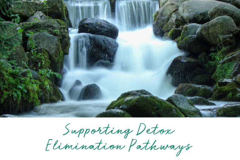 Supporting Detox Elimination Pathways | PERQUE
